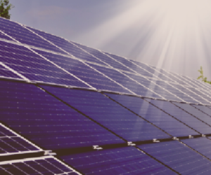 Panasonic solar panels Dealers in India | Sun-Ap Ecopower